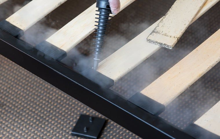 DIY Vs. Professional Bed Bug Removal | Accurate Pest Control