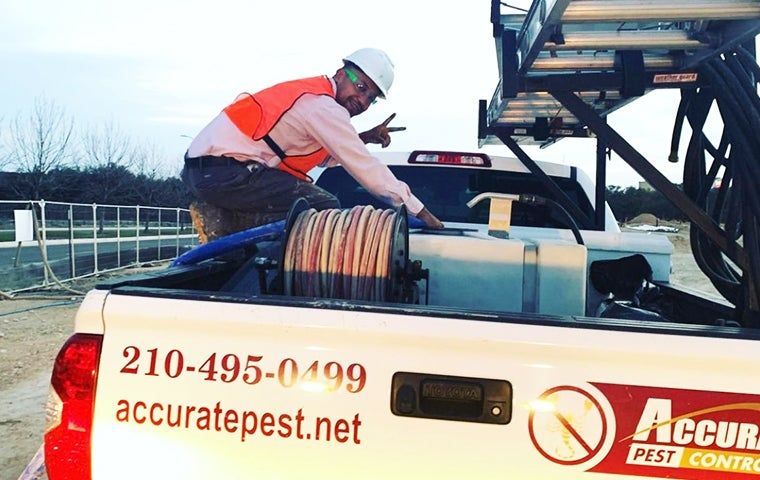 Guidelines To Select The Most Efficient Pest Control Company In San ...